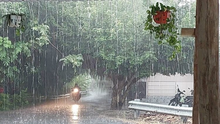 Top 10 bài văn tả cảnh đẹp quê hương em lớp 5 ngắn gọn nhất