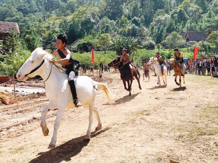 Tả con vật Hoang Dã lớp 4 ngắn gọn nhất 7 điểm (50 bài)