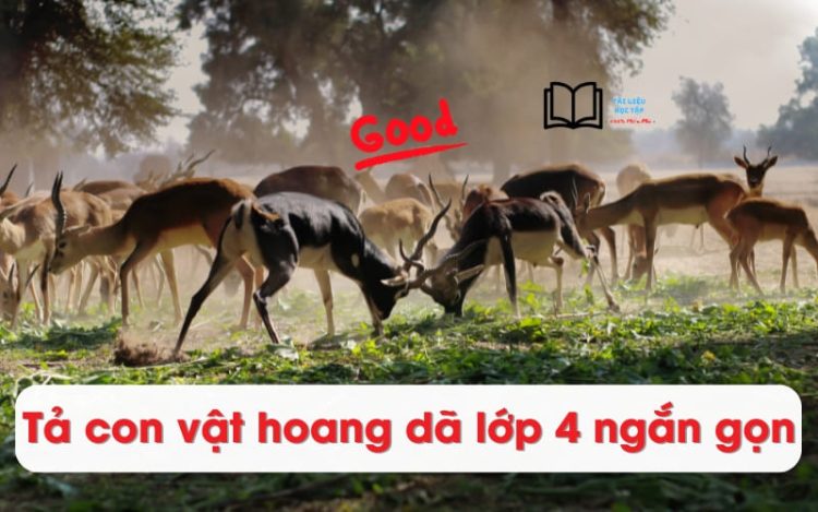 Tả con vật Hoang Dã lớp 4 ngắn gọn nhất 7 điểm (50 bài)