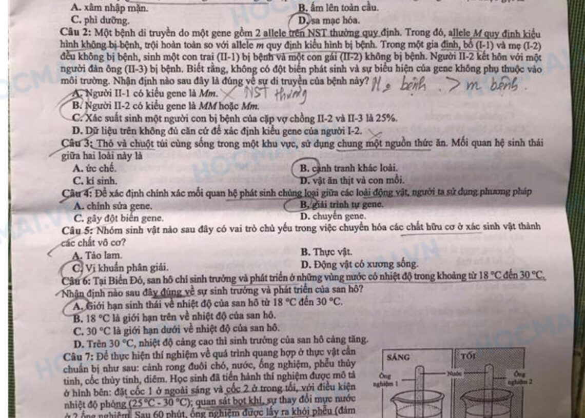 Đề thi Hoá THPT quốc gia 2024 có đáp án và file PDF